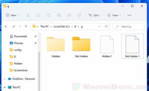 "This Folder is Empty" in Windows 11 (Fix)