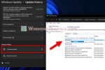 High CPU Usage After Windows 11/10 Update (Fix)