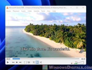 How to Merge Subtitles With Video Permanently Using VLC