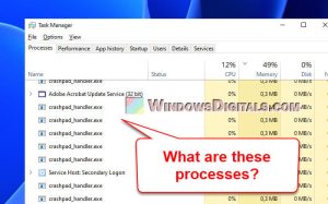 What is Google's Crashpad_handler.exe in Windows?