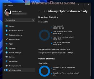 Can I Delete Delivery Optimization Files in Windows 11?