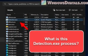 What is Detection.exe by Husdawg & Is it Safe or a Virus?