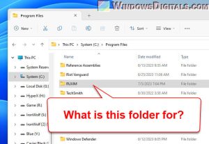 What is RUXIM Folder in Program Files and Can I Delete It?