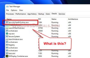What is SecurityHealthSystray.exe that Runs on Startup?