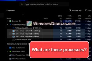 What is Turbo Virtual Machine Executable and Is it Safe?