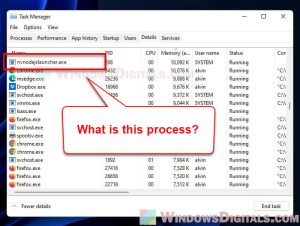 What is NVIDIA NodeJS Launcher and Share Window?