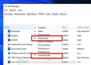 Unknown Program in Task Manager Startup Tab Windows 11/10