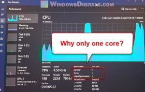 Windows 11 Shows Only One Processor Core, Why?