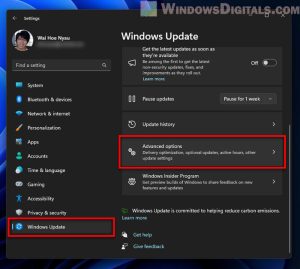Windows 11 Delivery Optimization High Network Usage