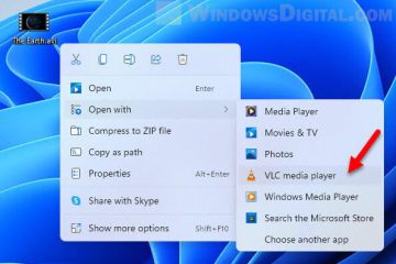 How to Play AVI Files on Windows 11