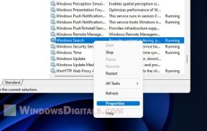 Windows 11 Search Indexer High CPU and Disk Usage