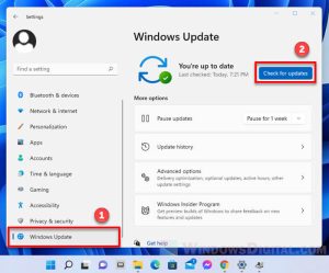 How to Update Graphics Driver in Windows 11