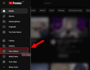 Why Can't You Watch Private Videos on YouTube?