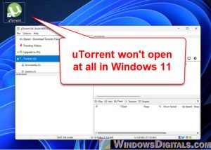 uTorrent Not Opening in Windows 11 or 10 (Fix)